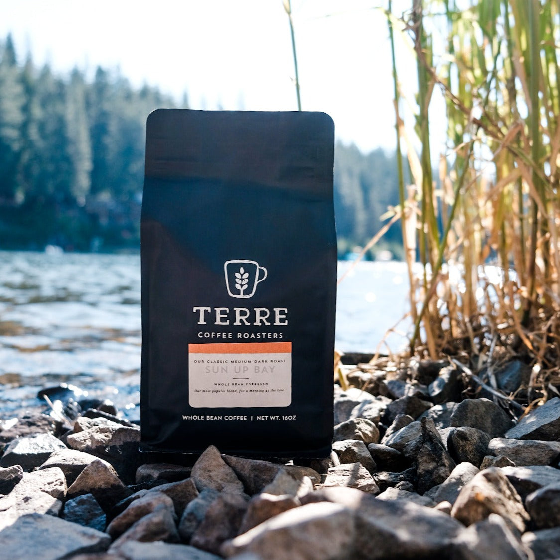 Sun Up Bay – Terre Coffee Roasters